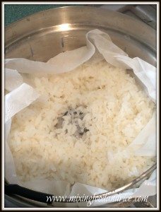 Cuisine Companion Hot Wet Rice – MIXING FOOD & LIFE