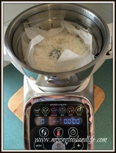 Cuisine Companion Hot Wet Rice – MIXING FOOD & LIFE