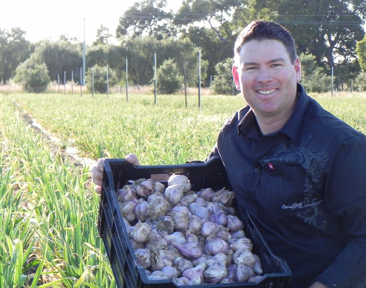 Australian Garlic – West is Best – West Australian Garlic – MIXING FOOD ...